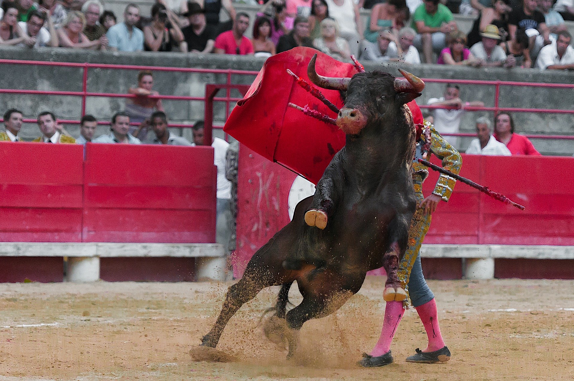 Las corridas de toros, una costumbre a mantener | CREMADES y CALVO ...
